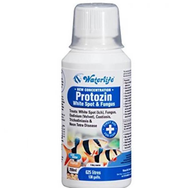 Waterlife Protozin 250ml | Fish Medi | Pet Lovers Centre