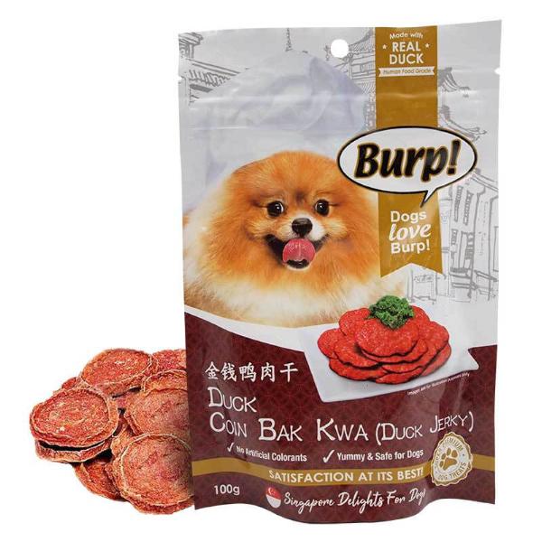 Burp Singapore Delight Duck Coin Bak Kwa 100g (Treats of Pawradise ...